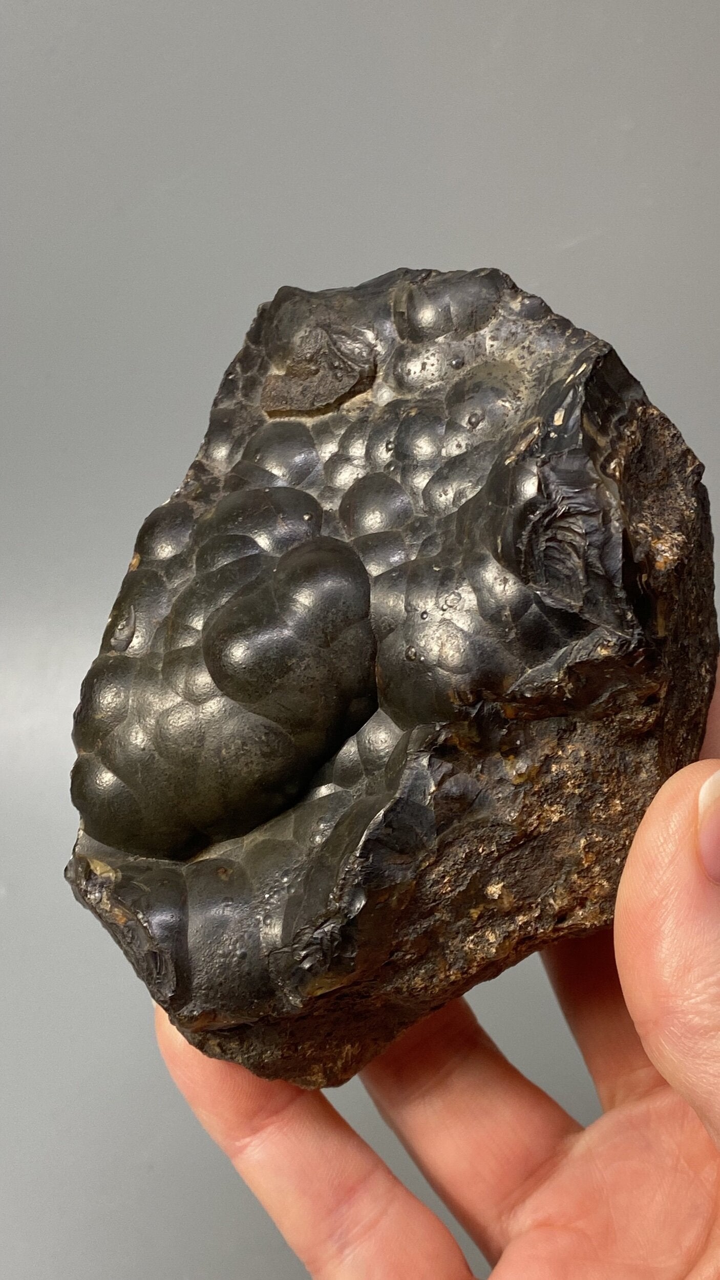 Botryoidal Agate with Hematite & Goethite